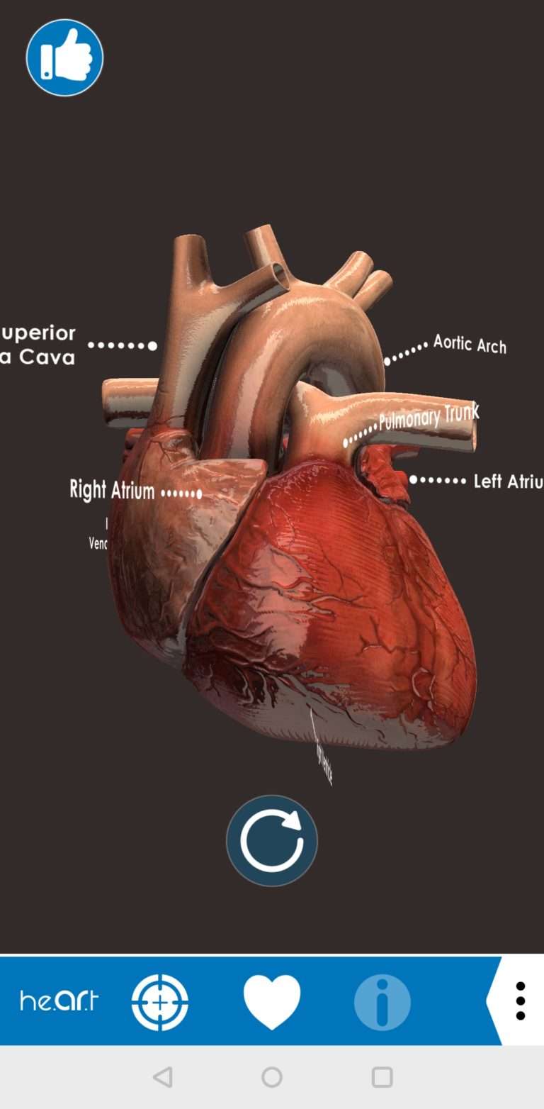 AR Heart (Augmented Reality) - iTech