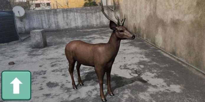 AR Real Animals - Augmented Reality Wildlife App - iTech