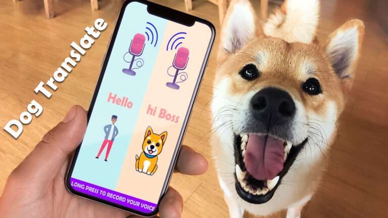 App that can translate dog - iTech