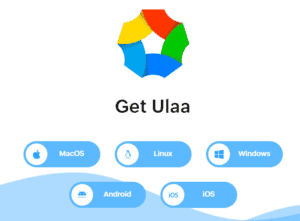 Ulaa Web Browser Review (2025): Best Indian Chrome Alternative? Full ...